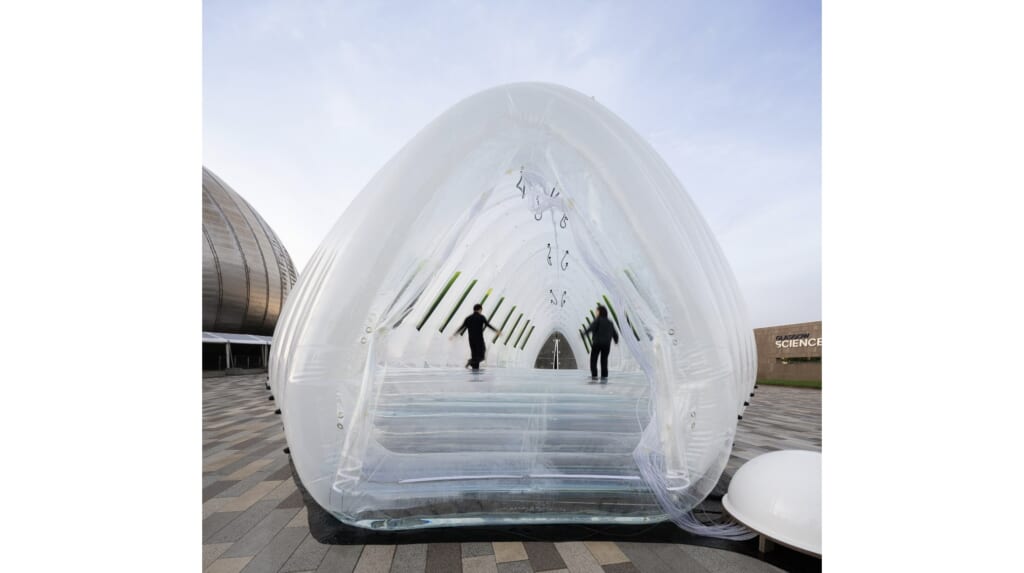 目に体に心地いいアート 藻でCO2を吸収するオブジェたち - NewSphere | DIRECTION