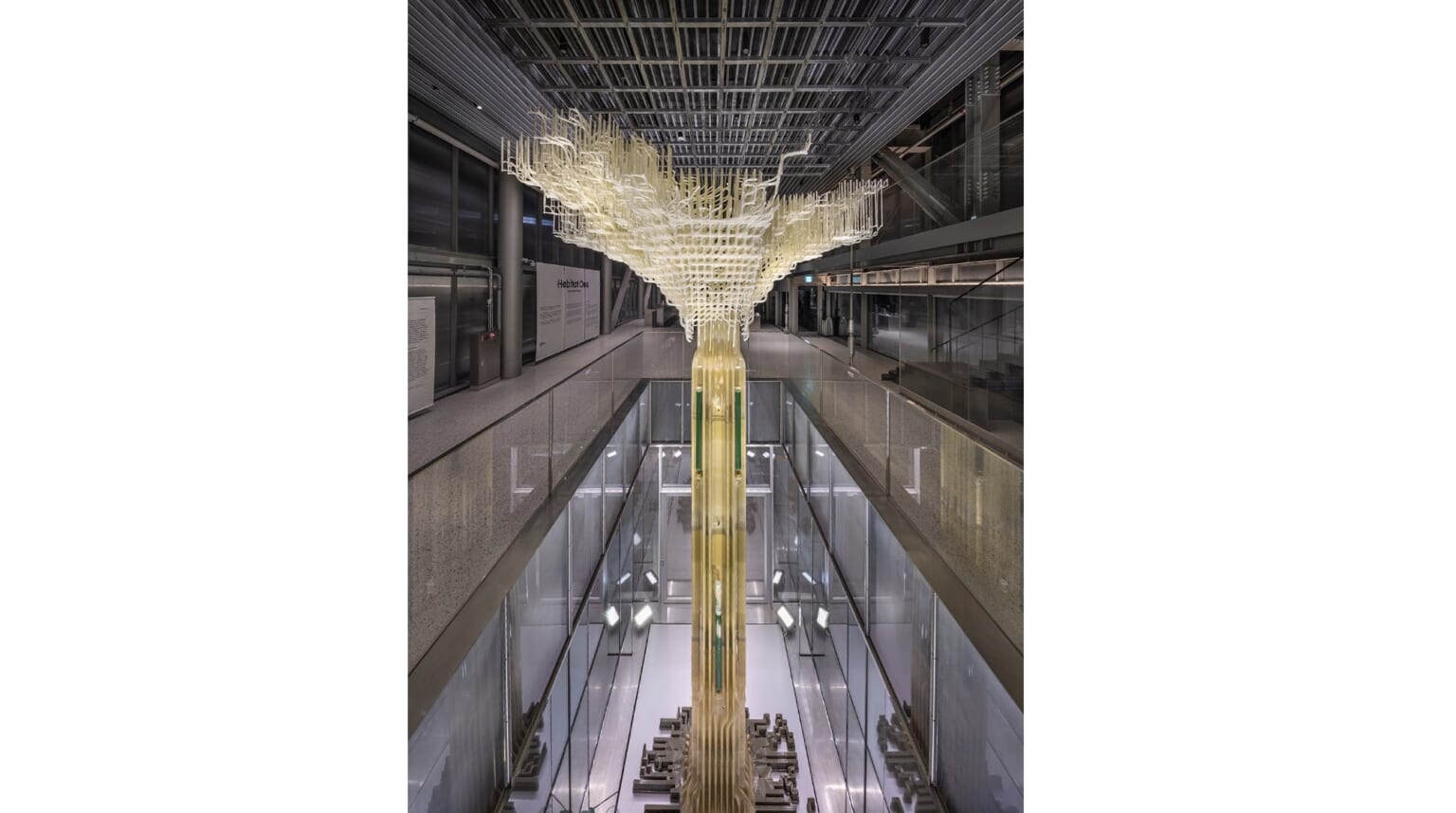 目に体に心地いいアート 藻でCO2を吸収するオブジェたち - NewSphere | DIRECTION