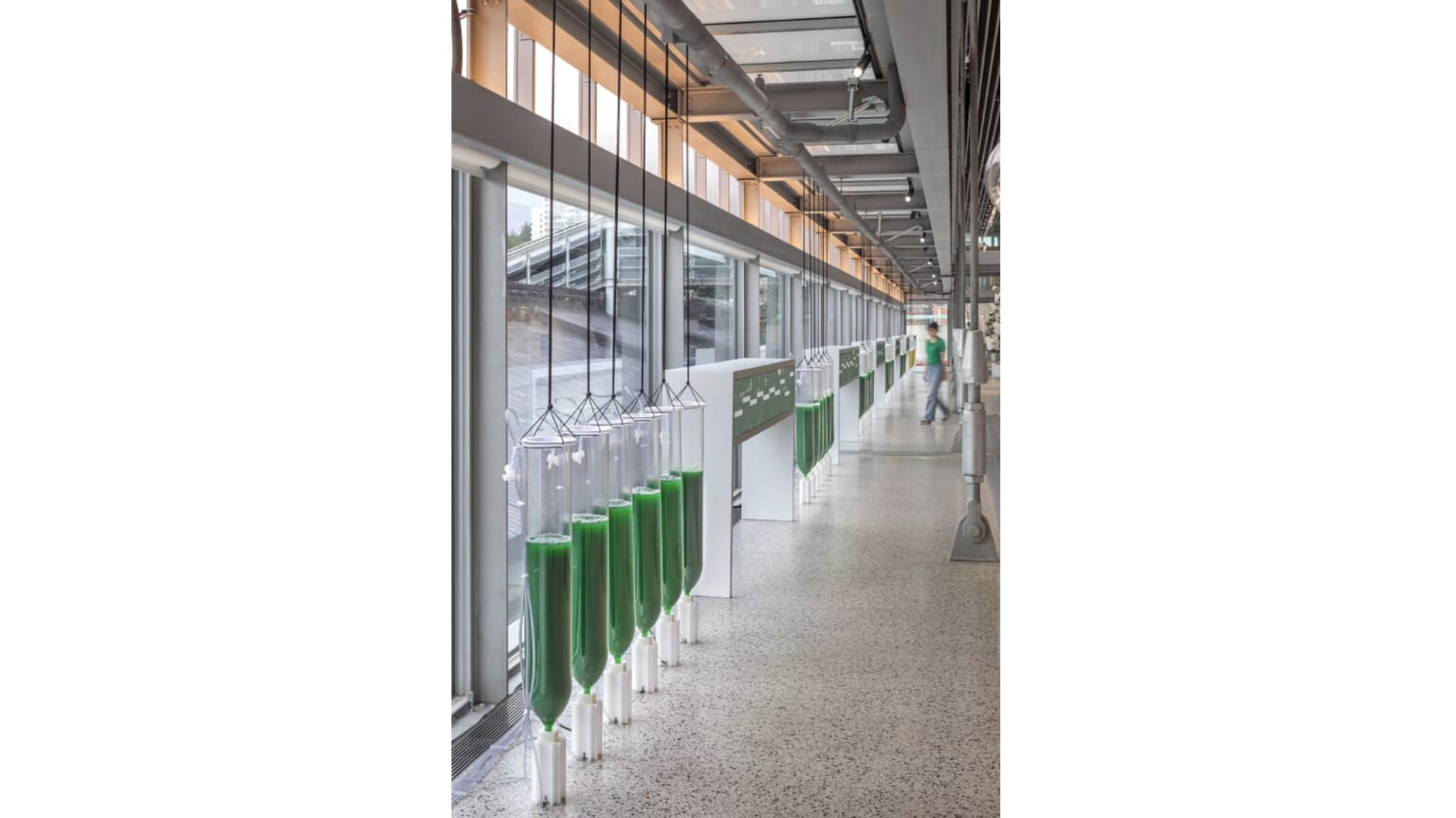 目に体に心地いいアート 藻でCO2を吸収するオブジェたち - NewSphere | DIRECTION