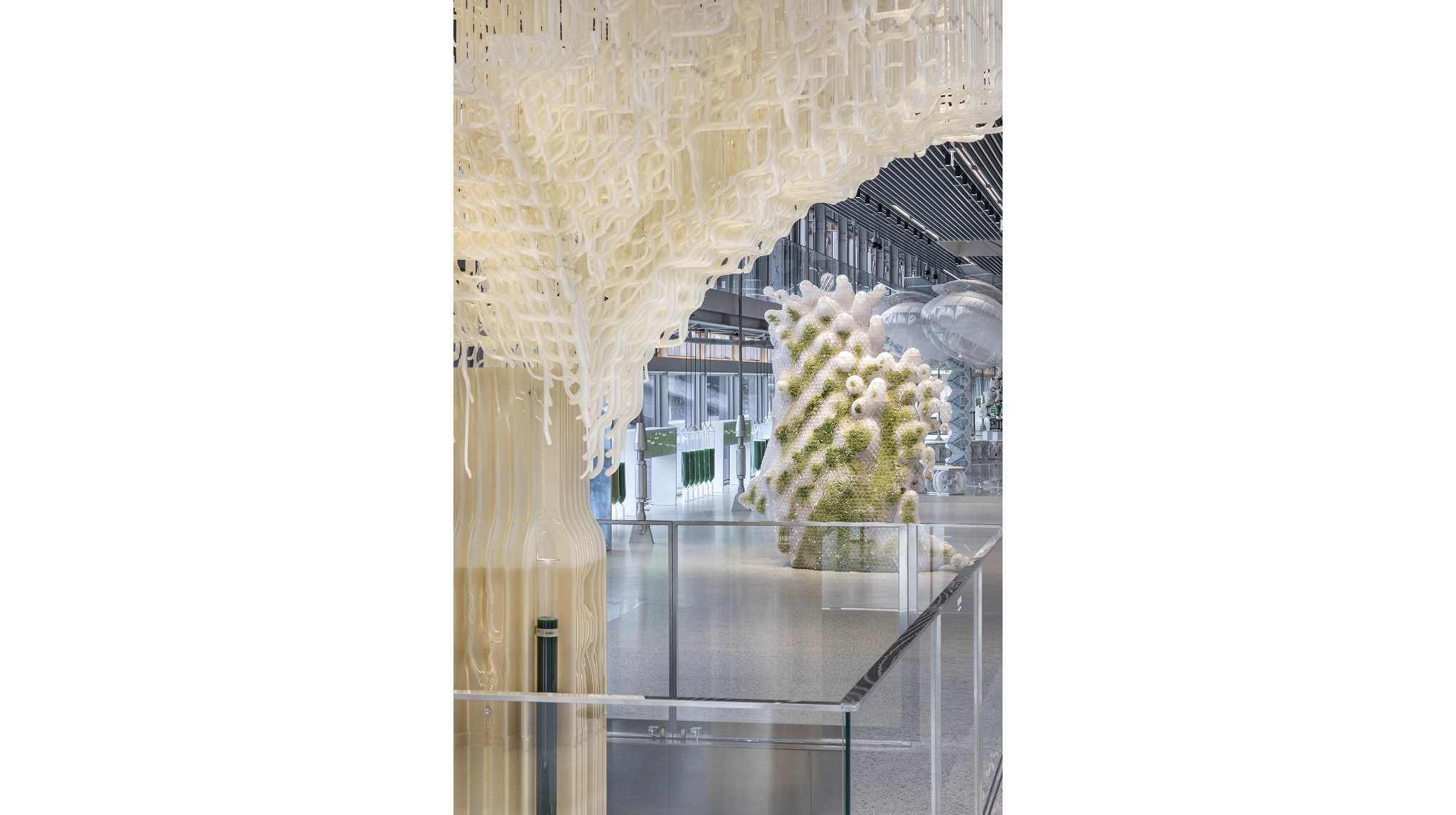 目に体に心地いいアート 藻でCO2を吸収するオブジェたち - NewSphere | DIRECTION