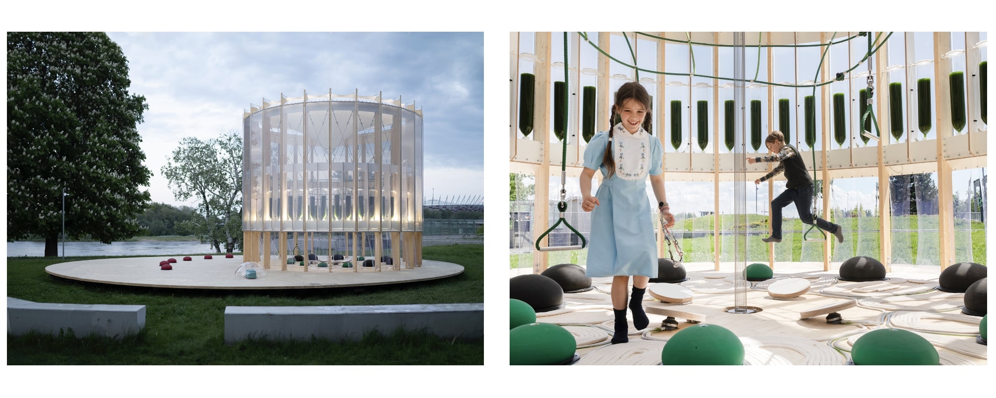 目に体に心地いいアート 藻でCO2を吸収するオブジェたち - NewSphere | DIRECTION