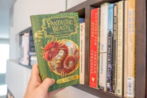 ファンタスティック・ビースト相関図とあらすじ ハリー・ポッターとの関係 - NewSphere