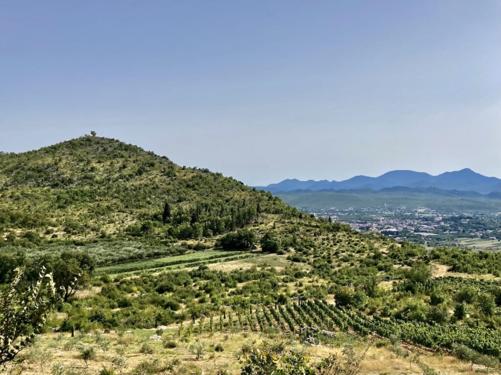 日本の軽自動車、アメリカ30州で公道OKへ 進む合法化 - NewSphere